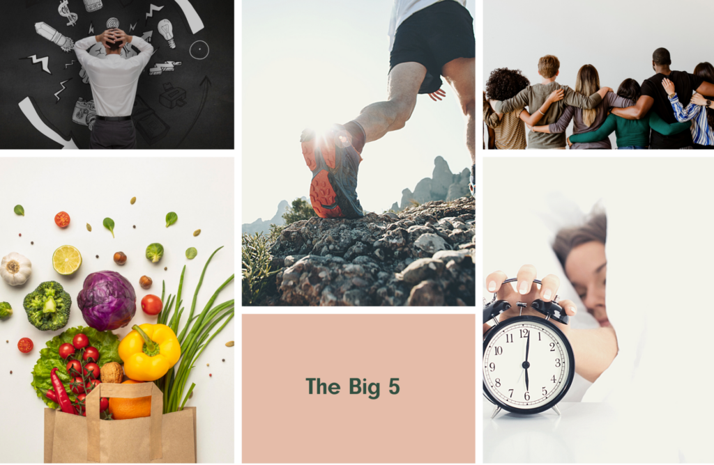 The Big 5 van leefstijl. - fitax
